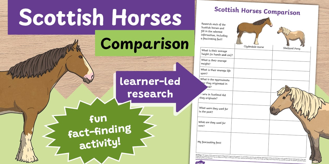 Year of the Horse Scottish Horses Comparison Research