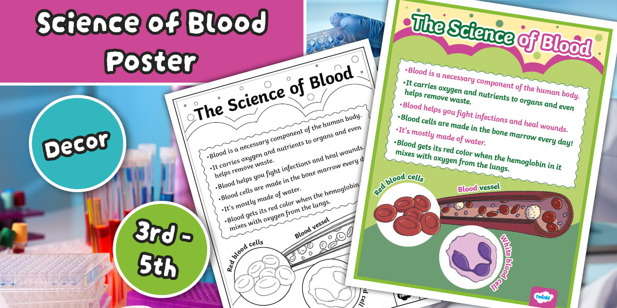 The Science of Blood Poster for 3rd-5th Grade (Teacher-Made)