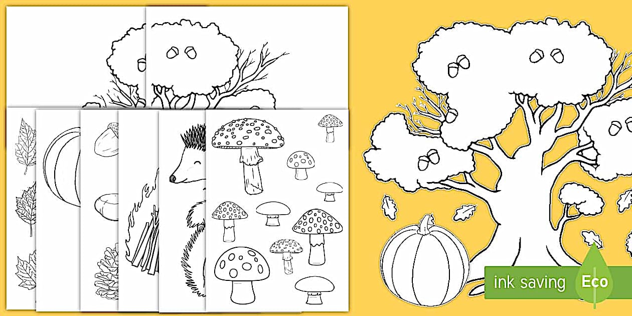 Autumn Display Large Colouring Cut-Outs (Teacher-Made)