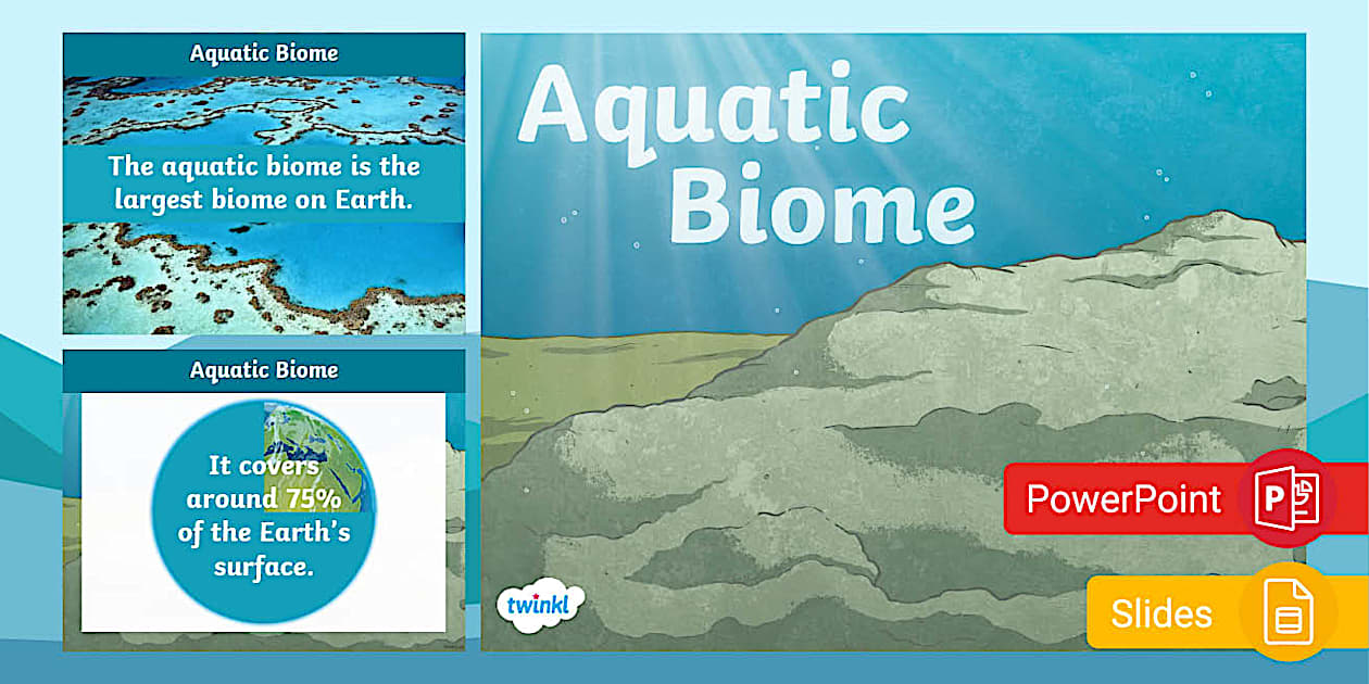 Aquatic Biome Presentation | World Oceans Day | Twinkl USA