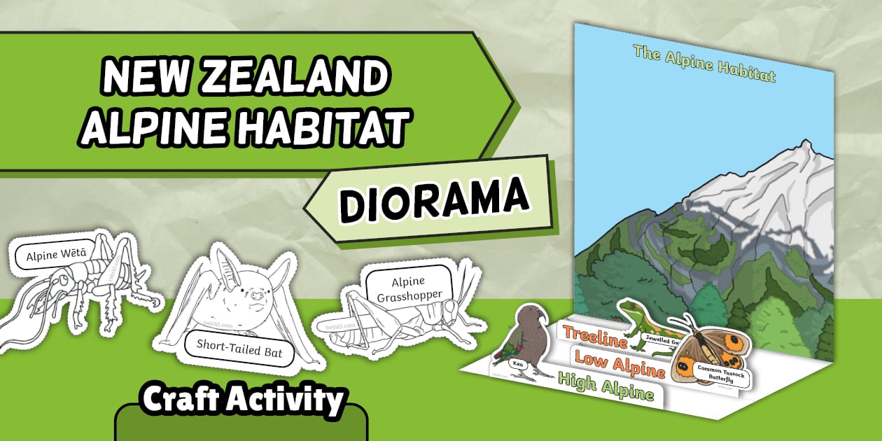 New Zealand Alpine Habitat Diorama