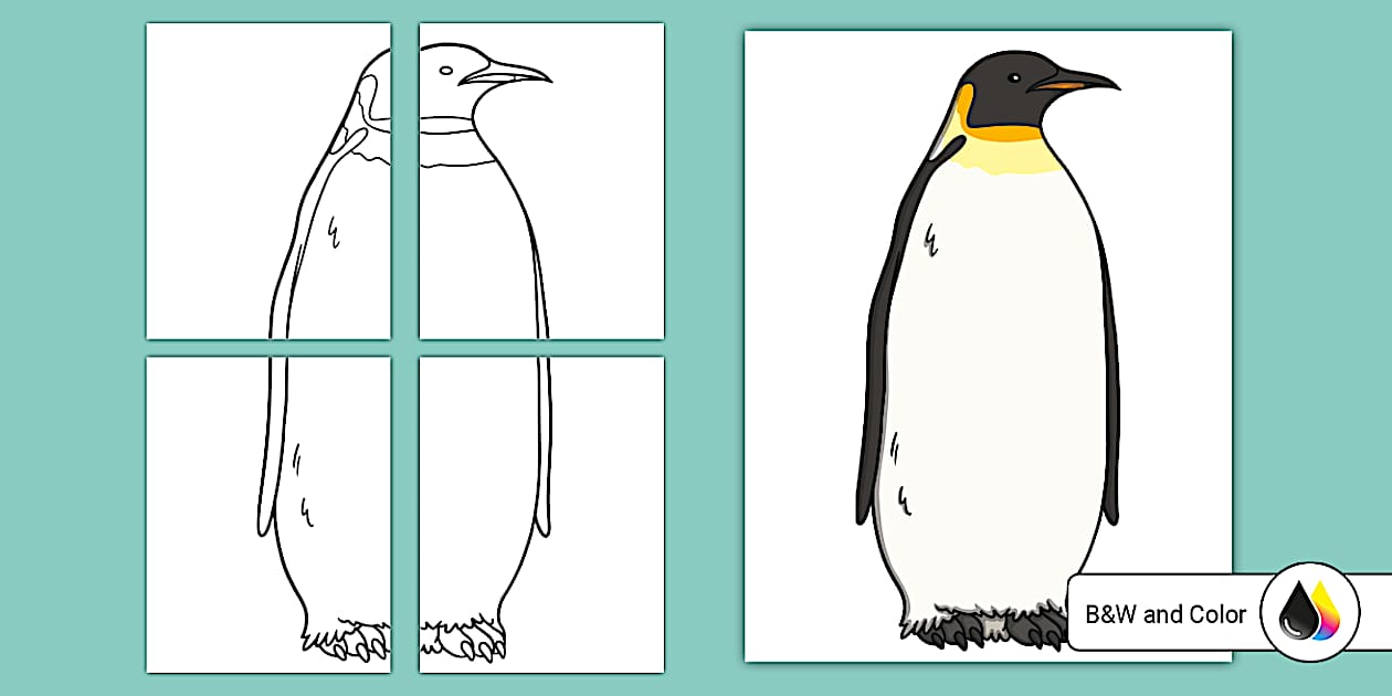 Emperor Penguin Template | Life Science | Twinkl USA
