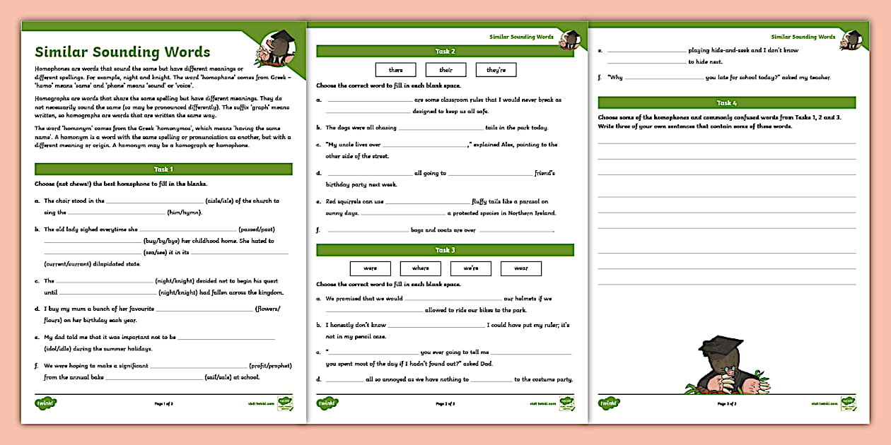Similar Sounding Words Activity Sheets (teacher made)