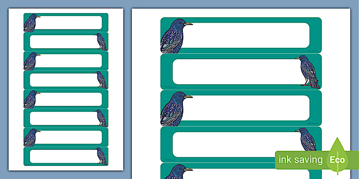 Starling Tray Labels (ティーチャーメイド) - Twinkl