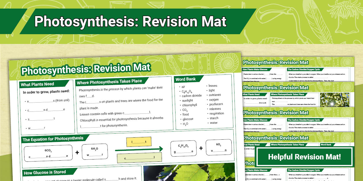 Photosynthesis: Revision Mat Activity Sheet