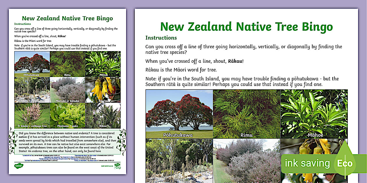 Rākau! New Zealand Native Tree Bingo Game