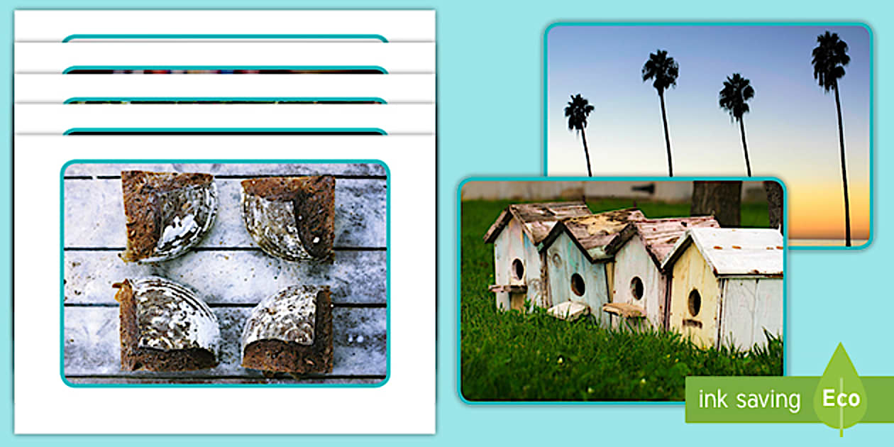 👉 Number 4 Photo Pack (teacher made) - Twinkl