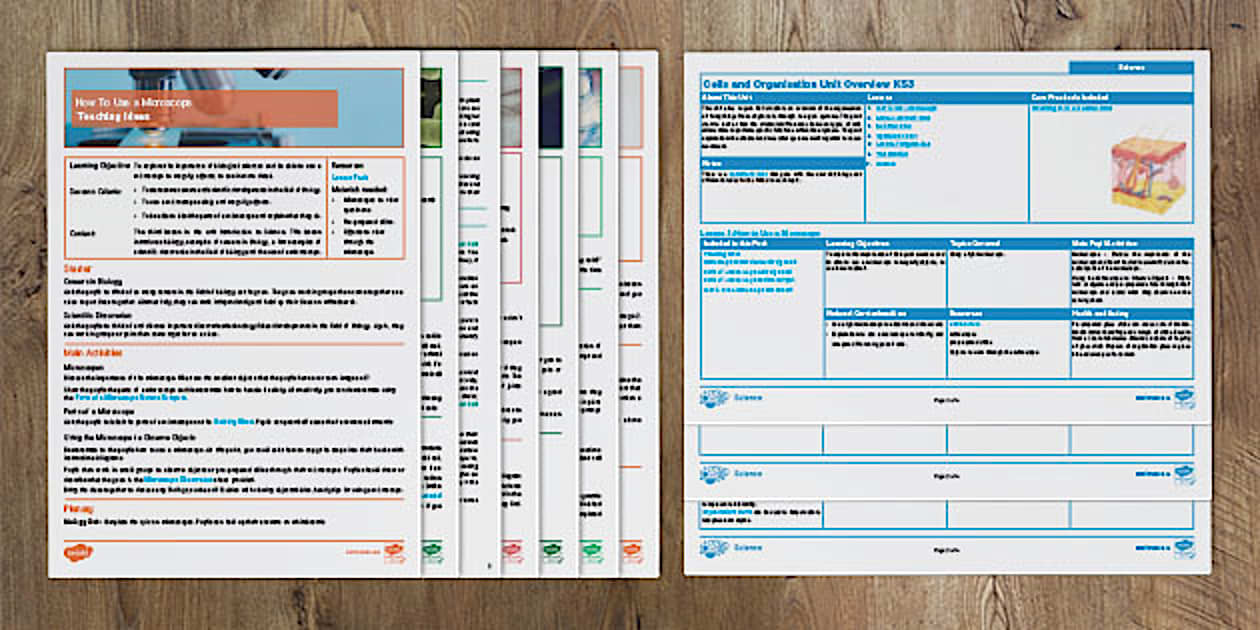 KS3 Cells and Organisation Lesson Pack Bundle | Beyond