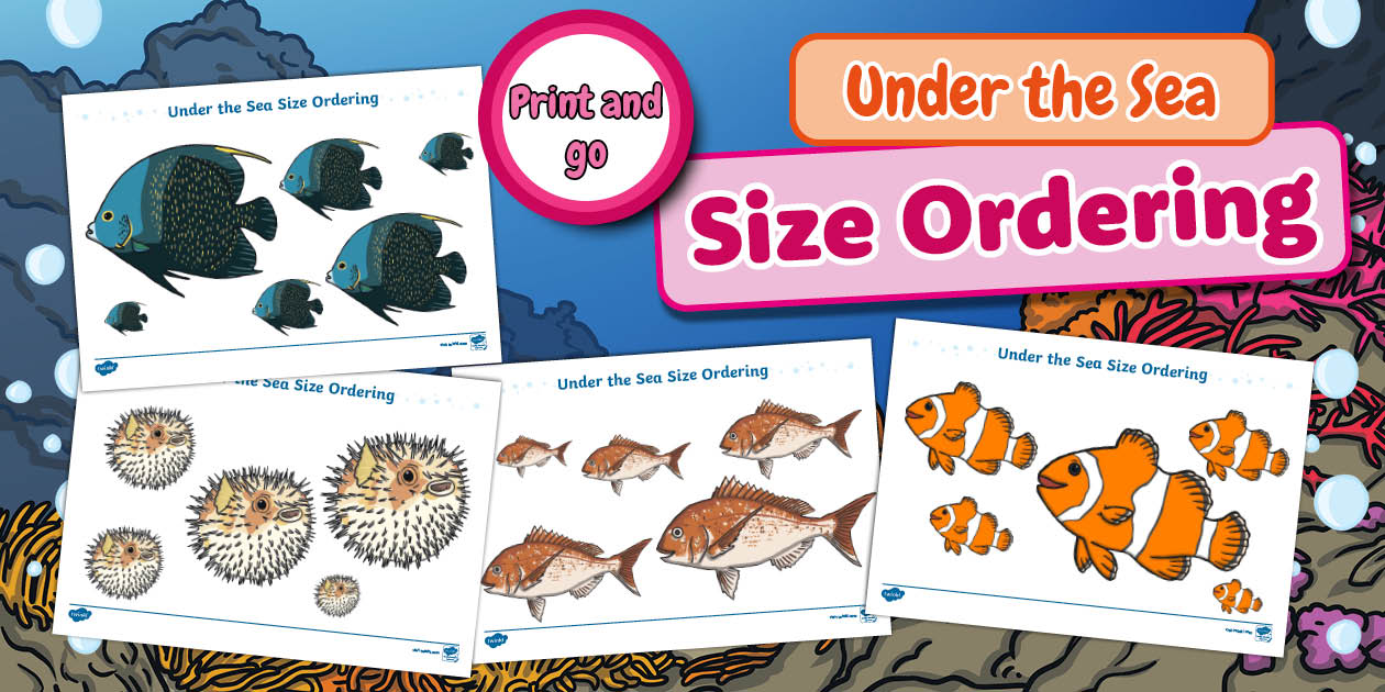 Under the Sea Fish Size Ordering