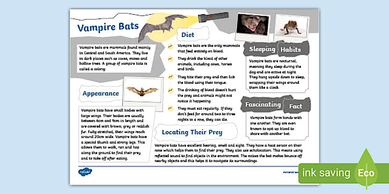 Vampire Bats Fact File - Animals - KS2 (teacher made)