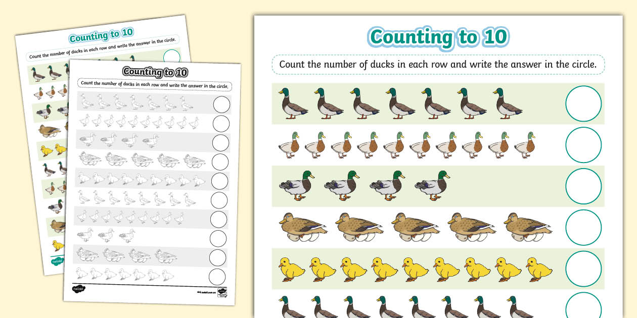 Ducks Counting to 10 Worksheet (ティーチャーメイド)