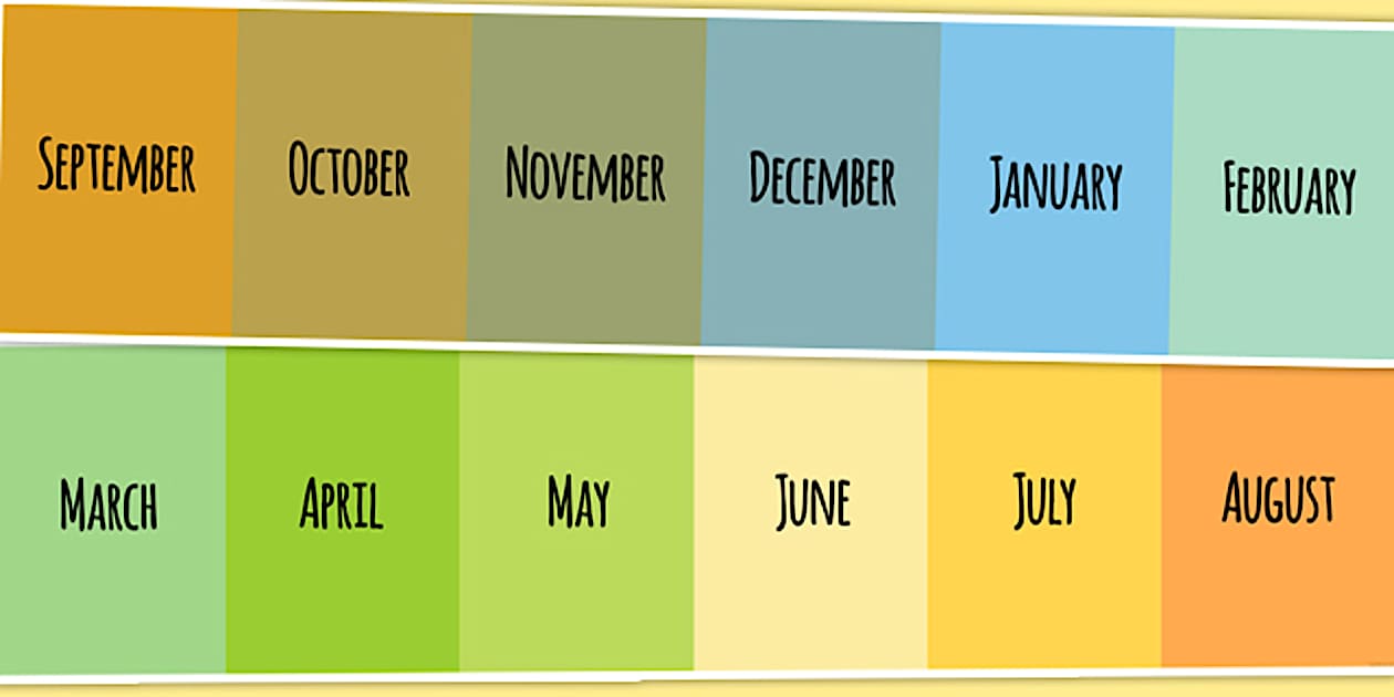 Blank 12 Month Timeline Template | Display Items | Twinkl