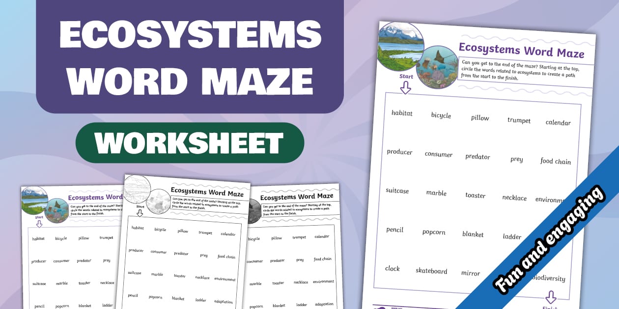 * NEW * Ecosystems Word Maze Worksheet
