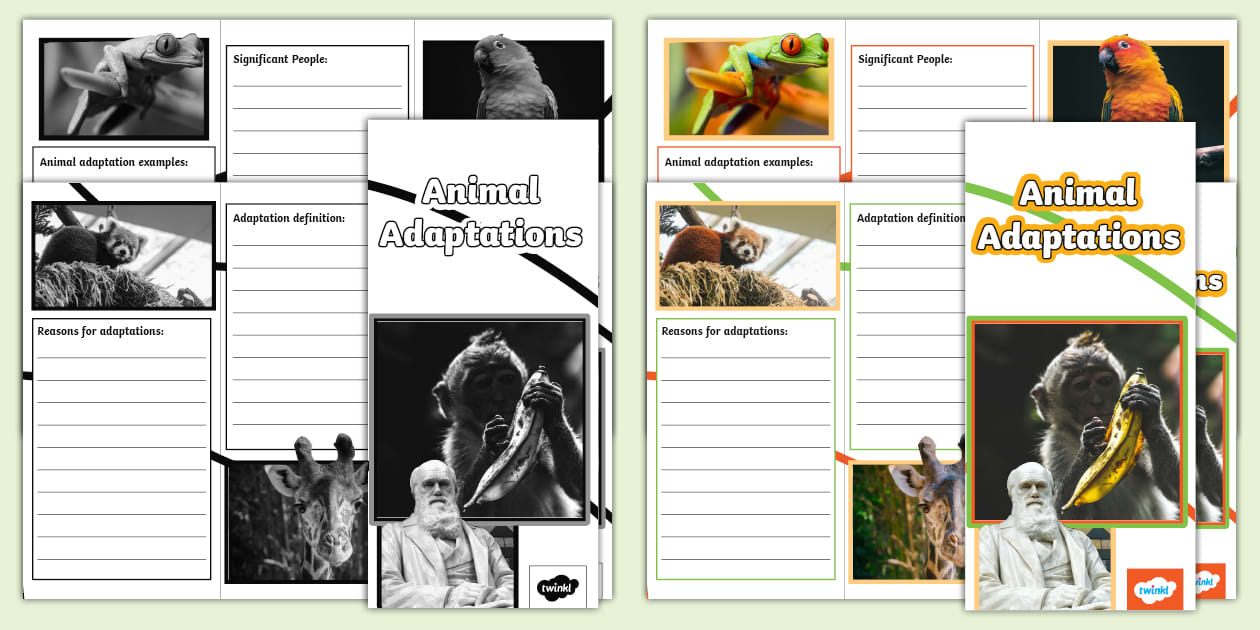Animal Adaptations Leaflet Template (teacher made) - Twinkl