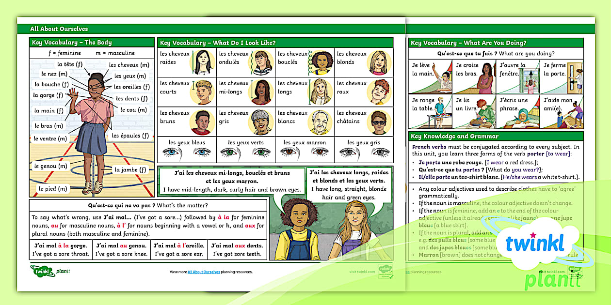👉 French Knowledge Organiser: All About Ourselves Year 5