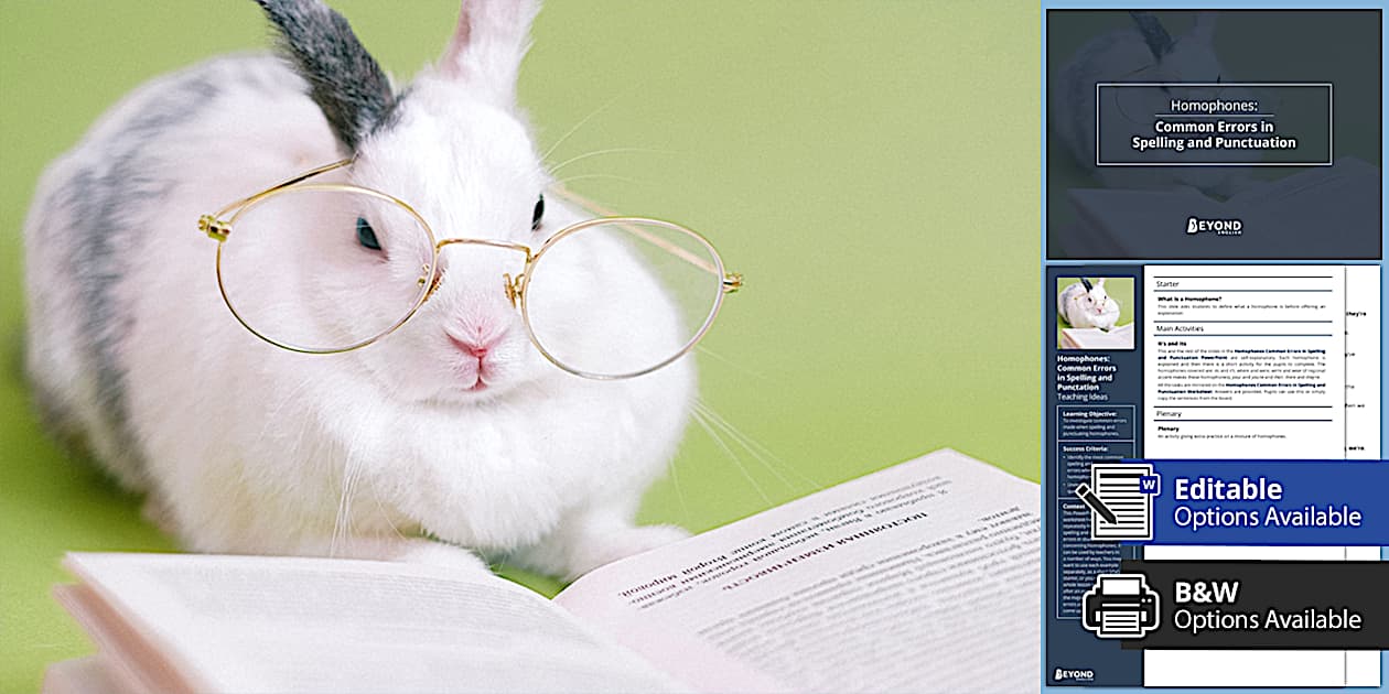 Homophone Practice Common Errors | KS3 SPaG | Beyond English