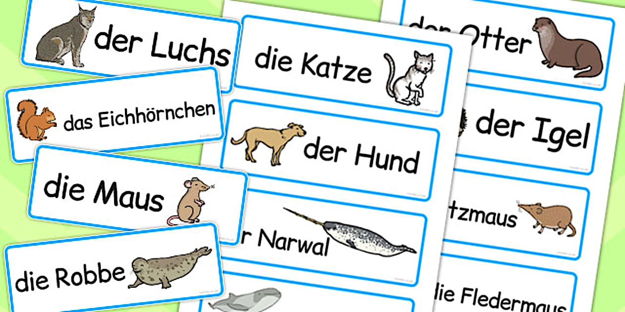 Editable German Animals Word Cards (teacher made) - Twinkl