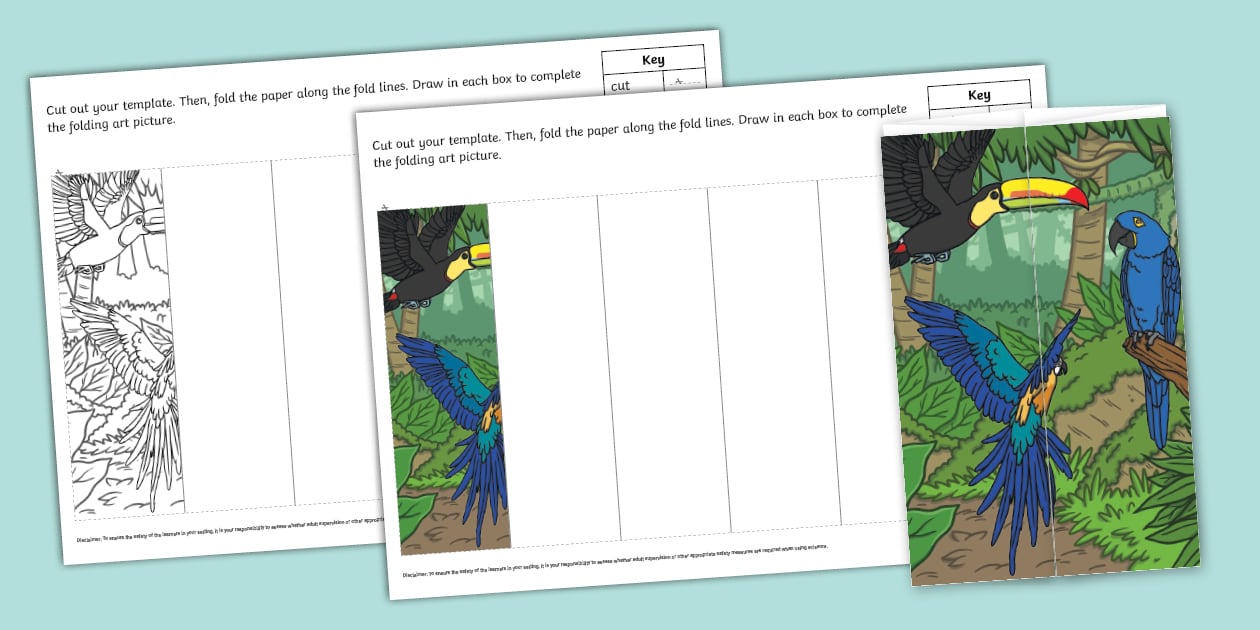 Birds of the Amazon Folding Art Template - Twinkl