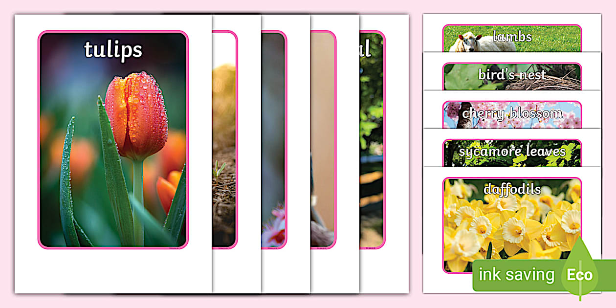 Signs of Spring Printable Photo Pack (teacher made) - Twinkl