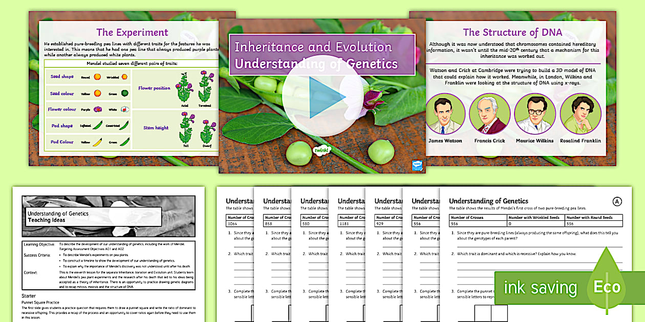 GCSE Inheritance, Variation and Evolution Lesson 11: Understanding of ...