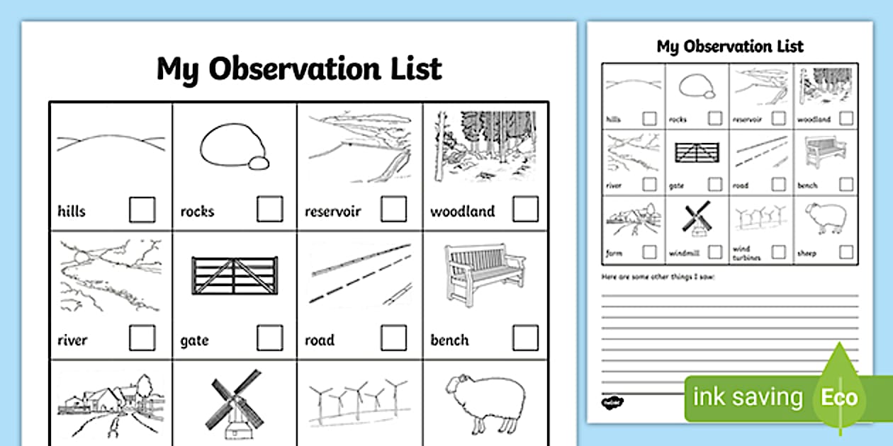 Editable Local Walk Observation Sheets (teacher made)