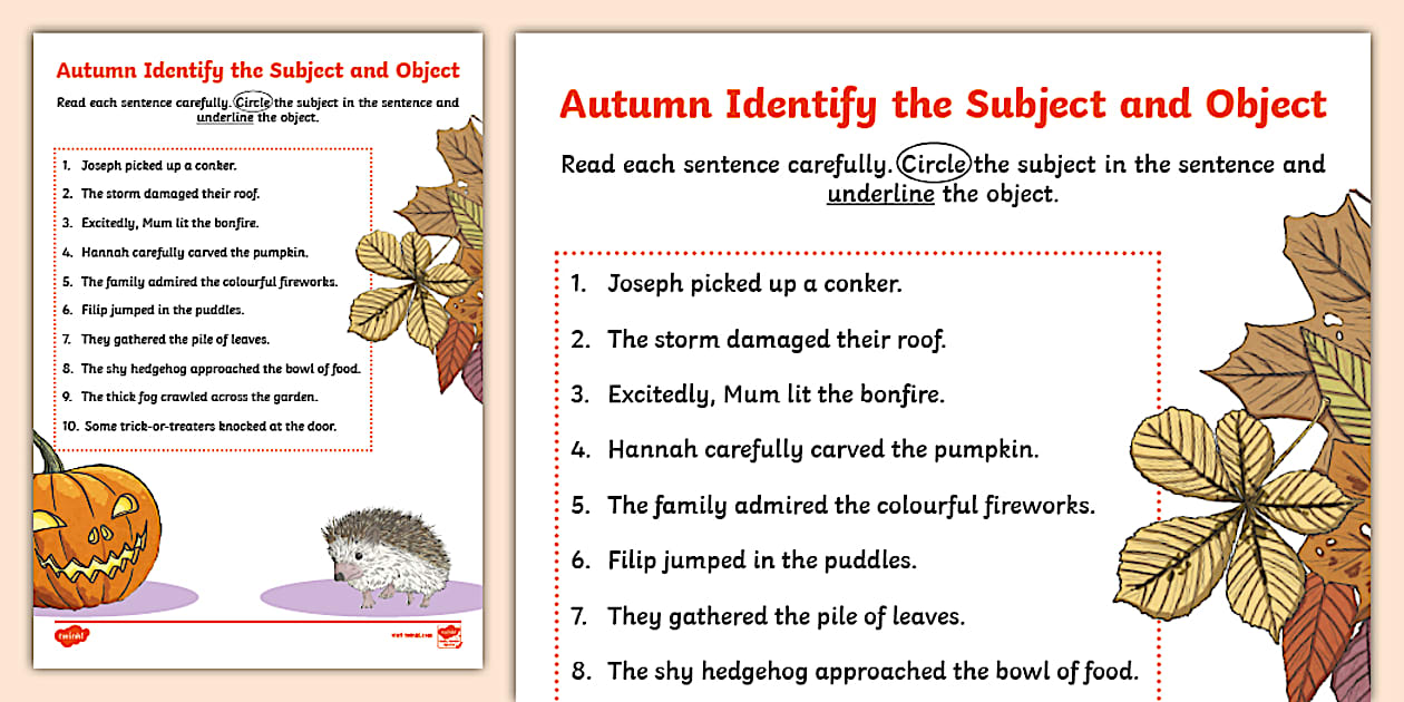 Autumn-Themed Identifying the Subject and Object Worksheet