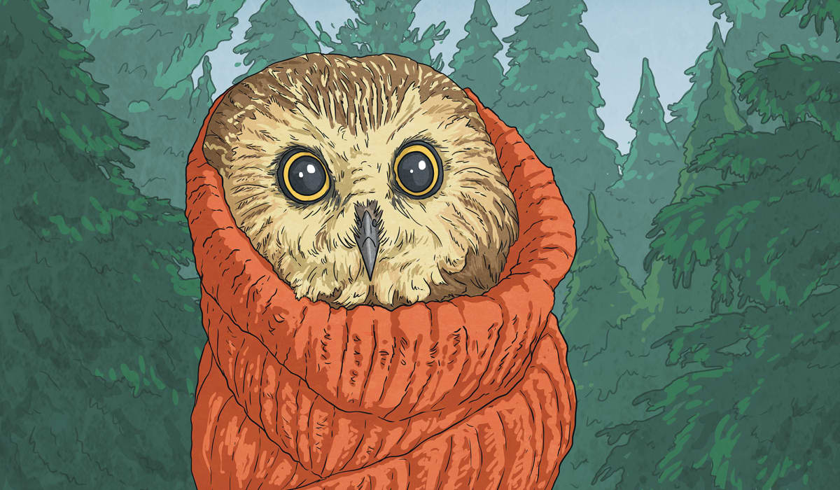 Rockefeller Owl - Twinkl NewsRoom - Twinkl