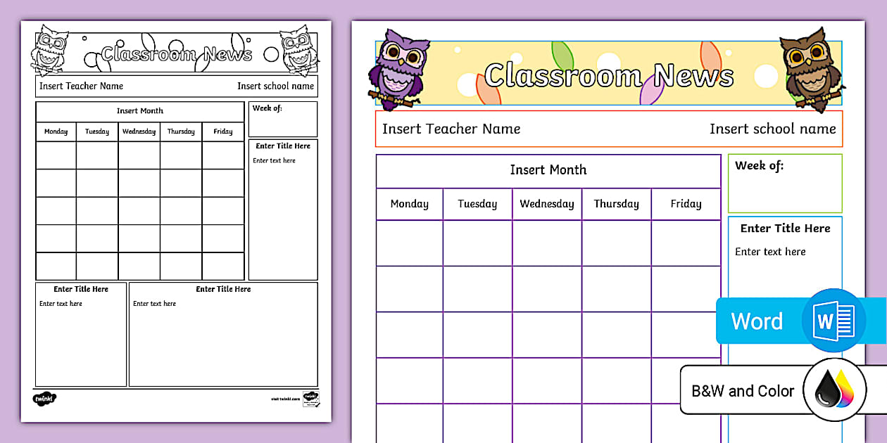 Editable Adorable Owl Theme Newsletter - Twinkl