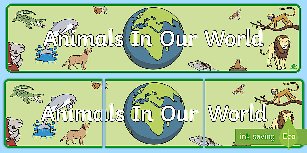 Animals In Our World Display Banner - Amazing Animals Display Banner