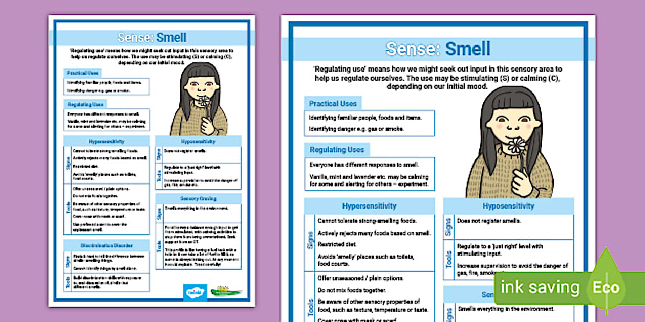 Regulating Sense of Smell Display Poster (teacher made)