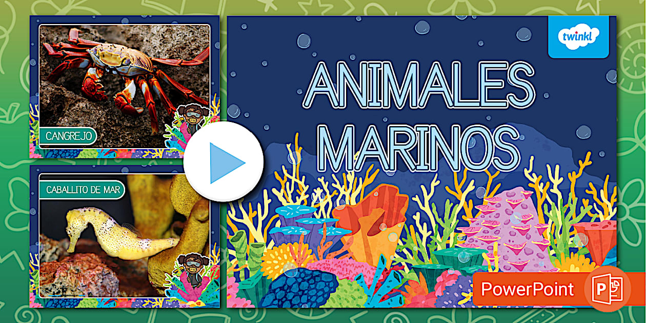 Presentación: Fotos de animales marinos - Twinkl