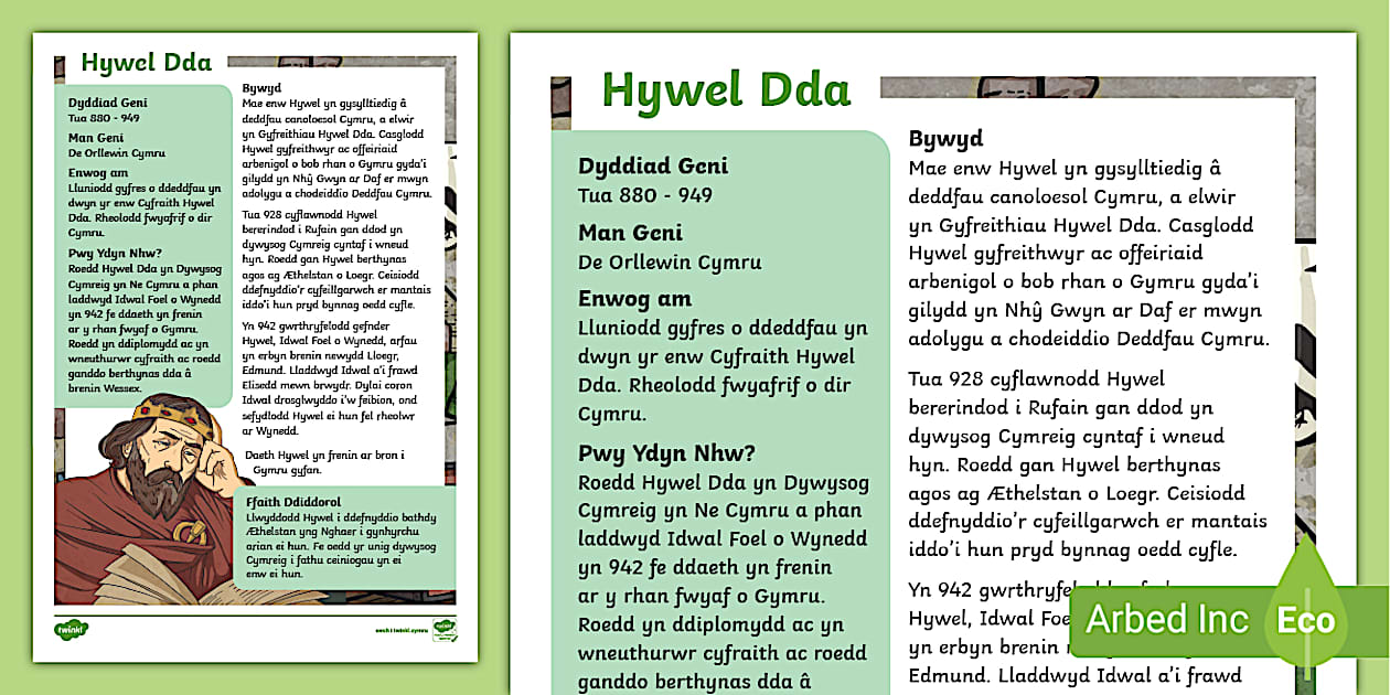 Ffeil Ffeithiau Hywel Dda (teacher made) - Twinkl