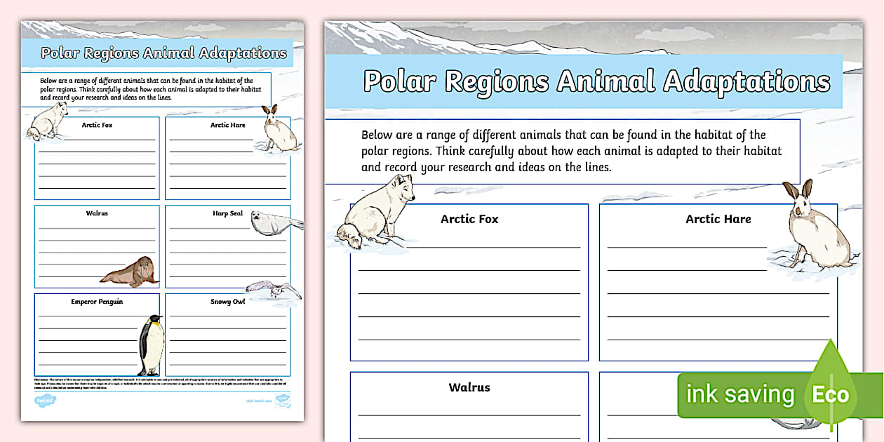 Polar Regions Animal Adaptations Activity Sheet - Twinkl