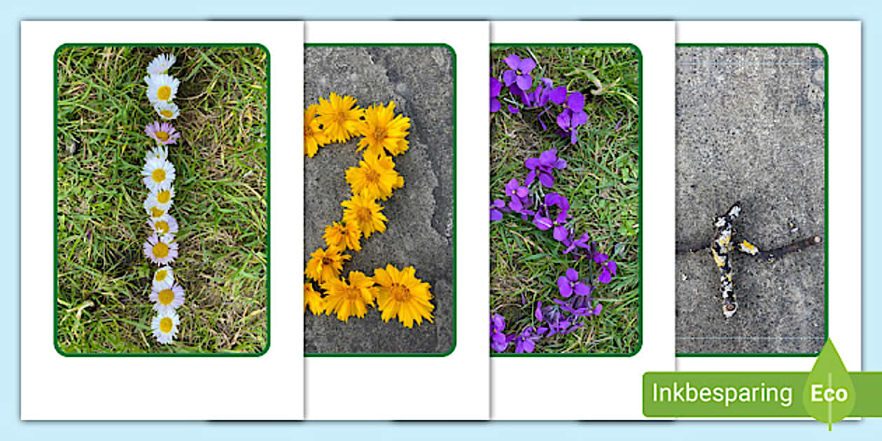 Natuur-Tema Getalle 0-20 Plakkate (Teacher-Made) - Twinkl