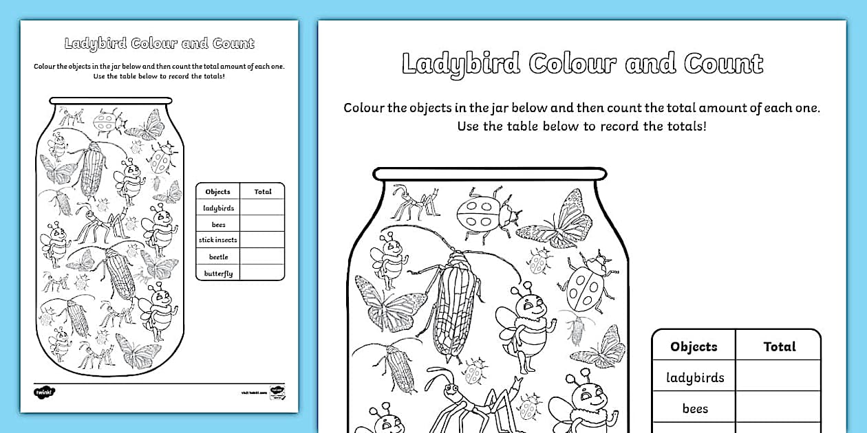 👉 Ladybird Colour the Amount Worksheet (Teacher-Made)