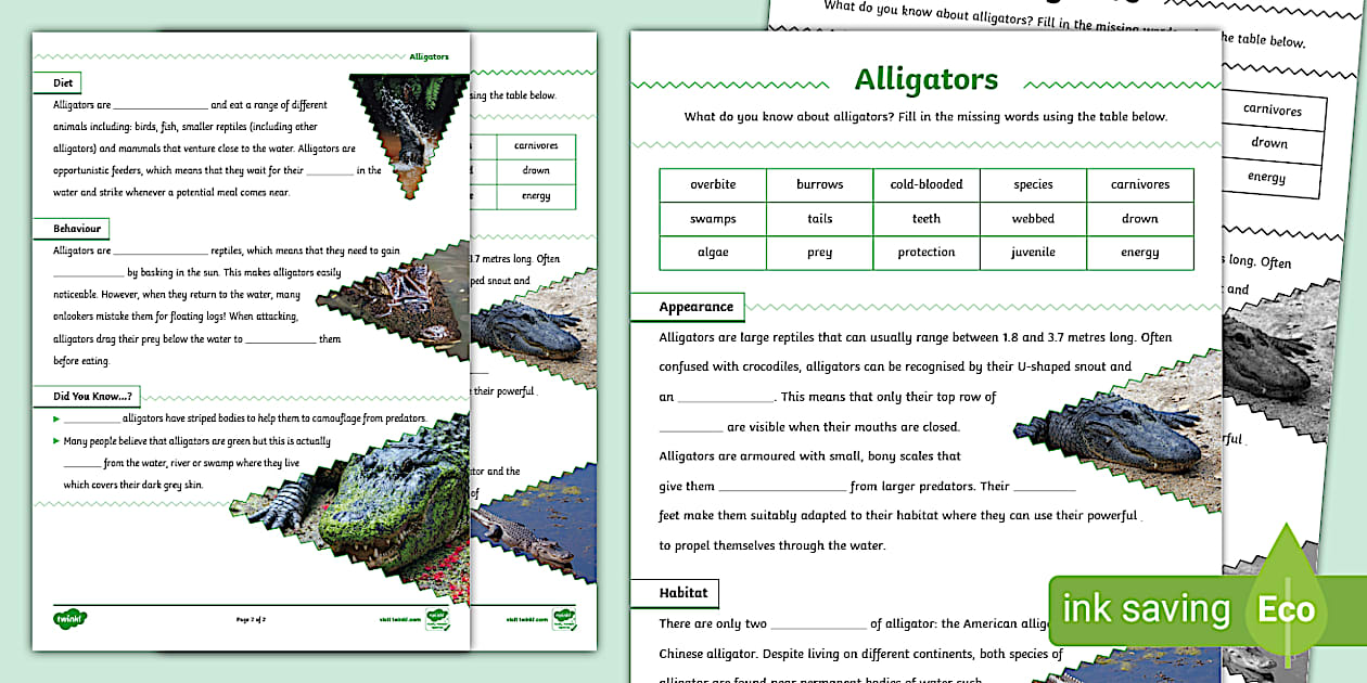 Alligators Cloze Worksheet (teacher made) - Twinkl