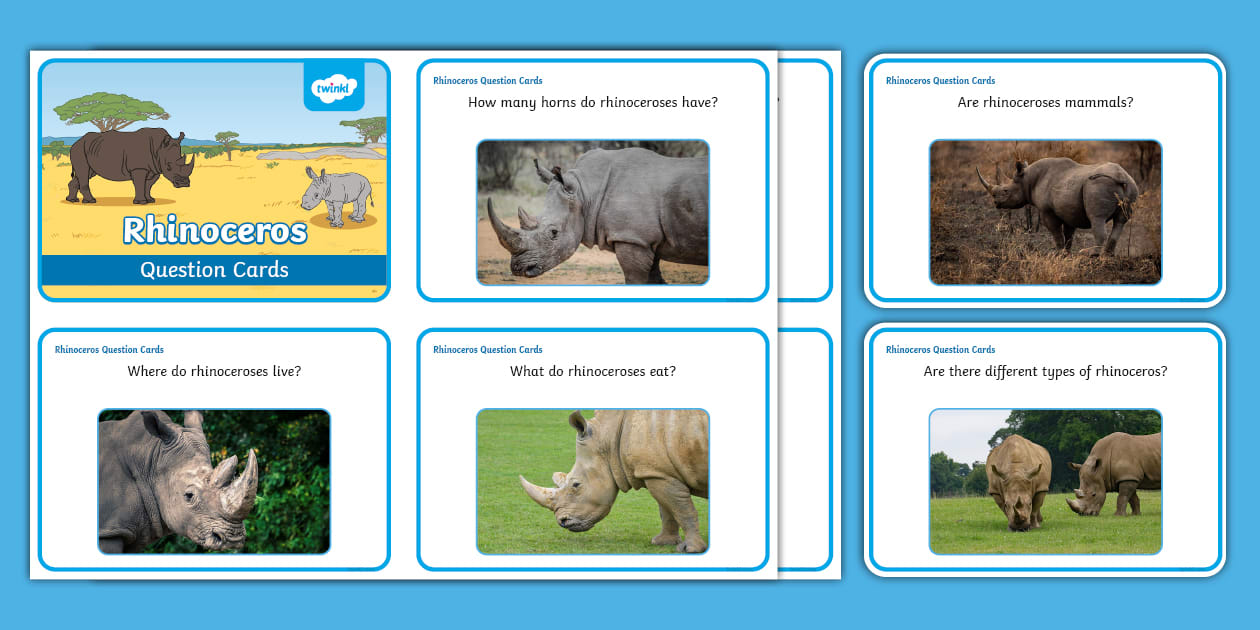 KS1 Rhinoceros Question Cards - KS1 (Teacher-Made) - Twinkl
