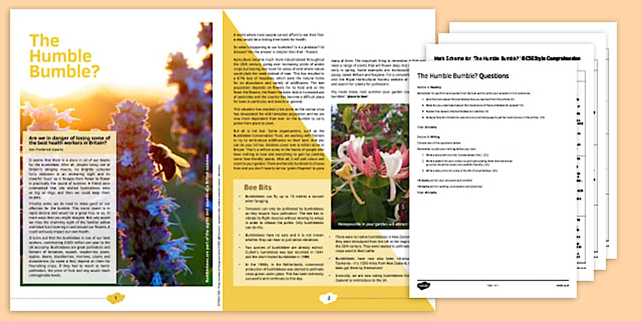 GCSE Reading and Writing Assessment Practice | Beyond