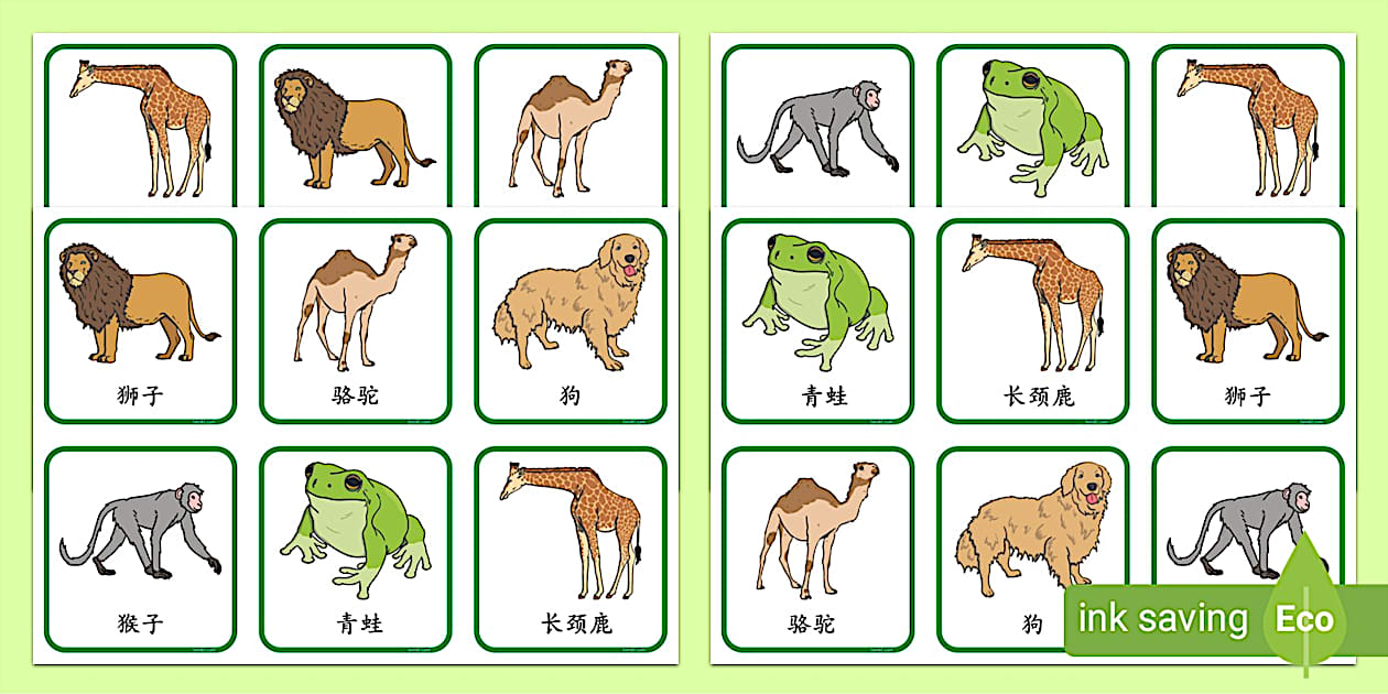 *Chinese version Zoo Animals Matching Cards* (teacher made)