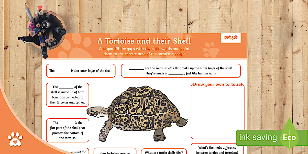 A Tortoise and their Shell - Activity Sheet - Twinkl Pets