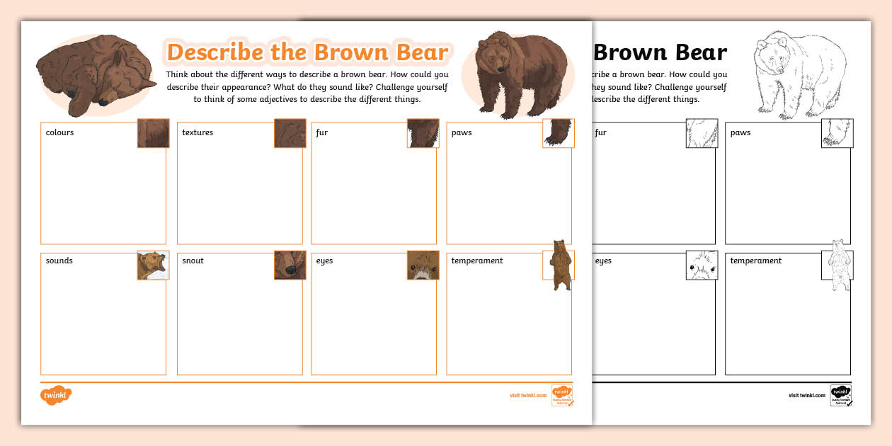 Brown Bear Adjectives Worksheet - Twinkl