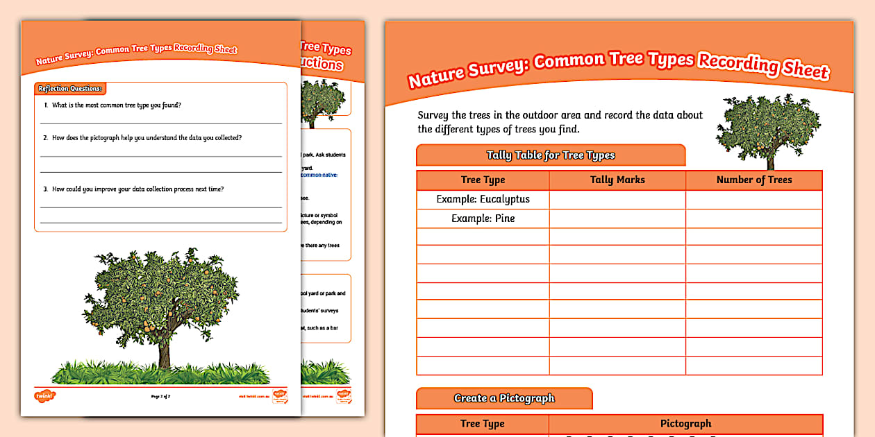 Outdoor Maths: Nature Survey Common Tree Types - Twinkl