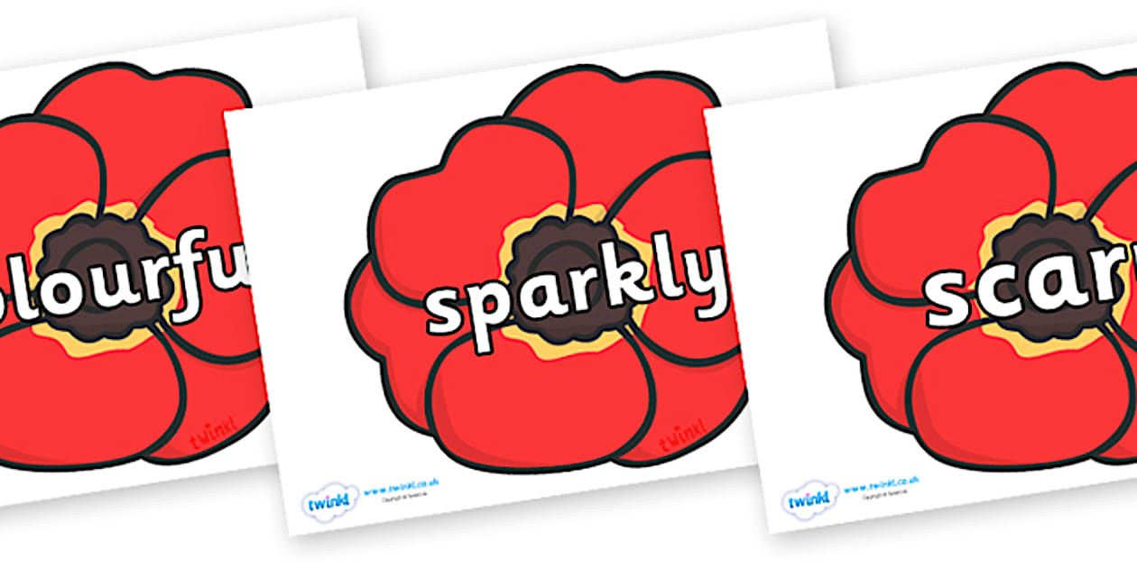 Cursive Wow Words on Poppies (teacher made) - Twinkl