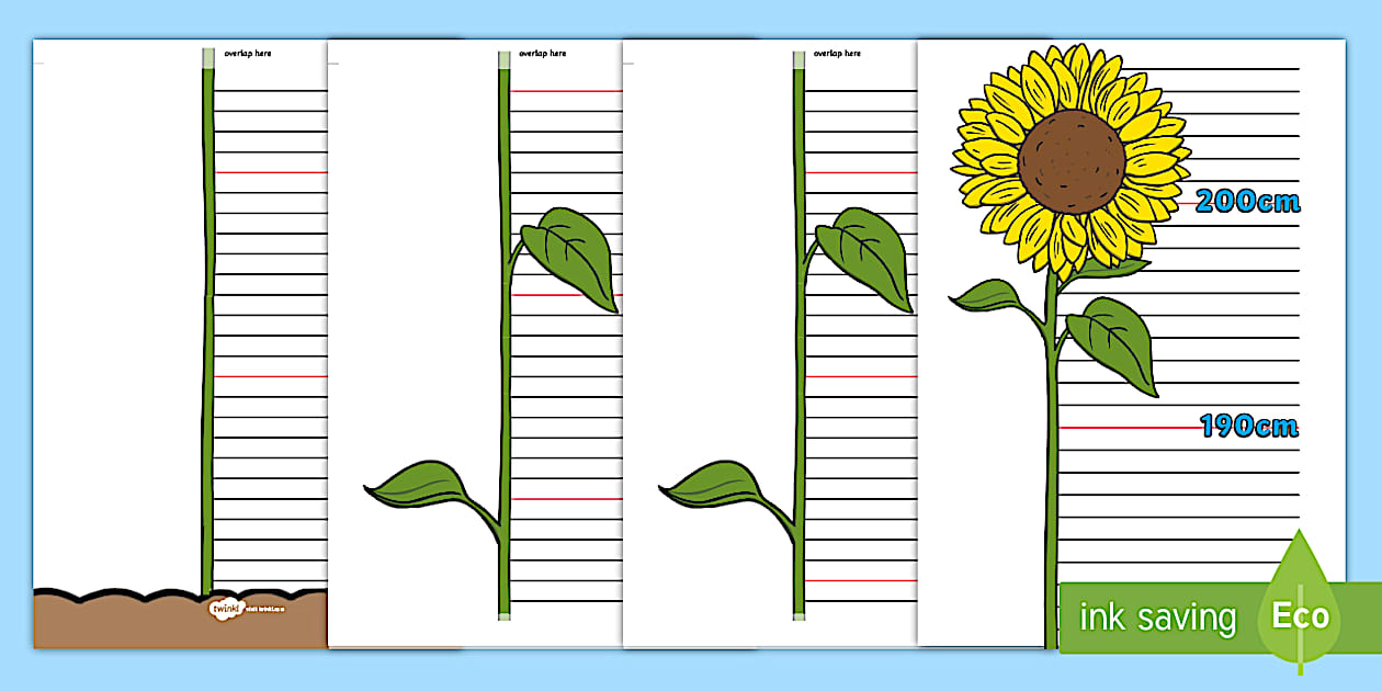 SA Australia Flower Height Chart Activity (teacher made)