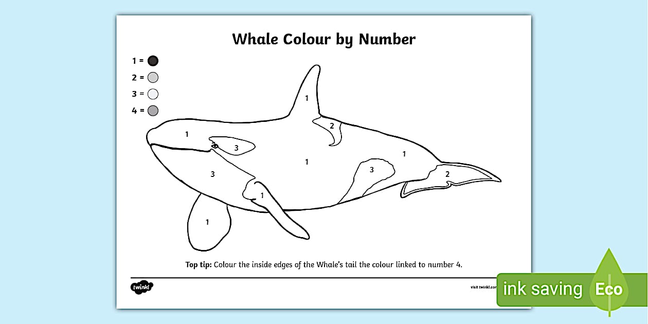Whale Colour-by-Number Worksheet | Twinkl | Colouring | KS1