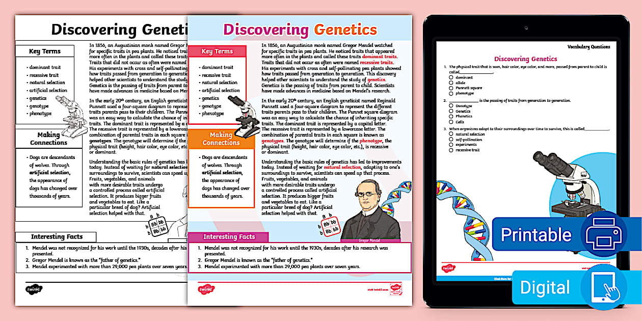 7th Grade Discovering Genetics Fact File and Vocab Questions