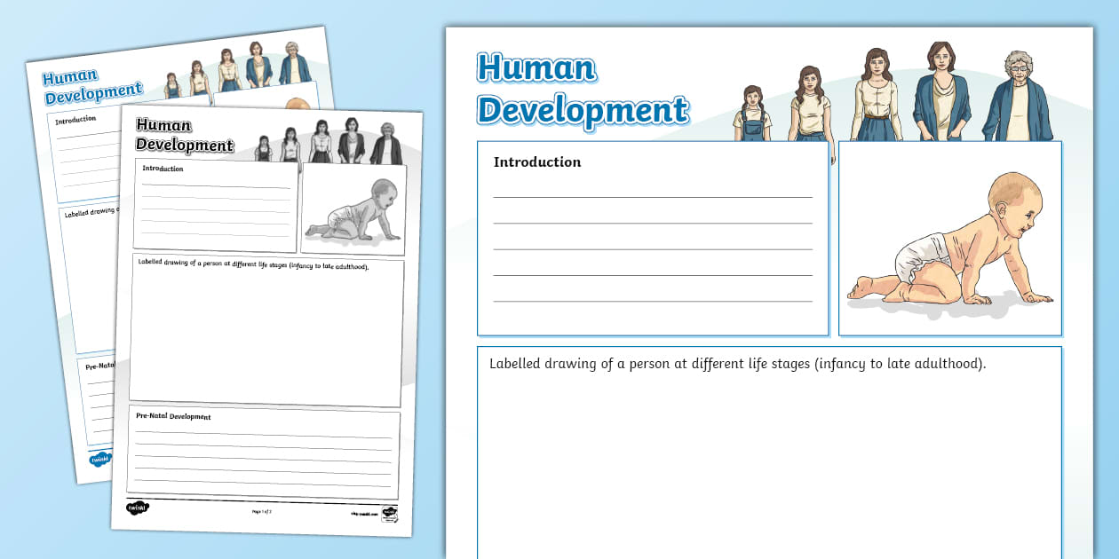 Human Development Non-Chronological Report Template - Twinkl