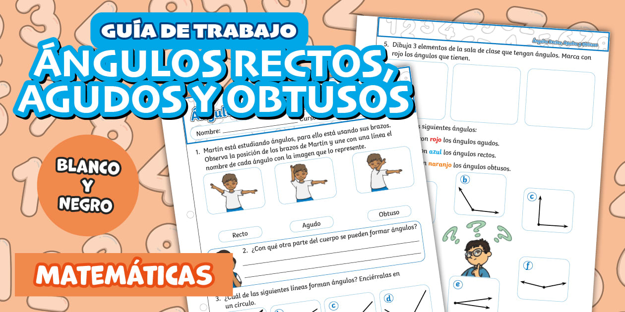 Guía | Trabajo | Ángulos Rectos | Agudos | Obtusos