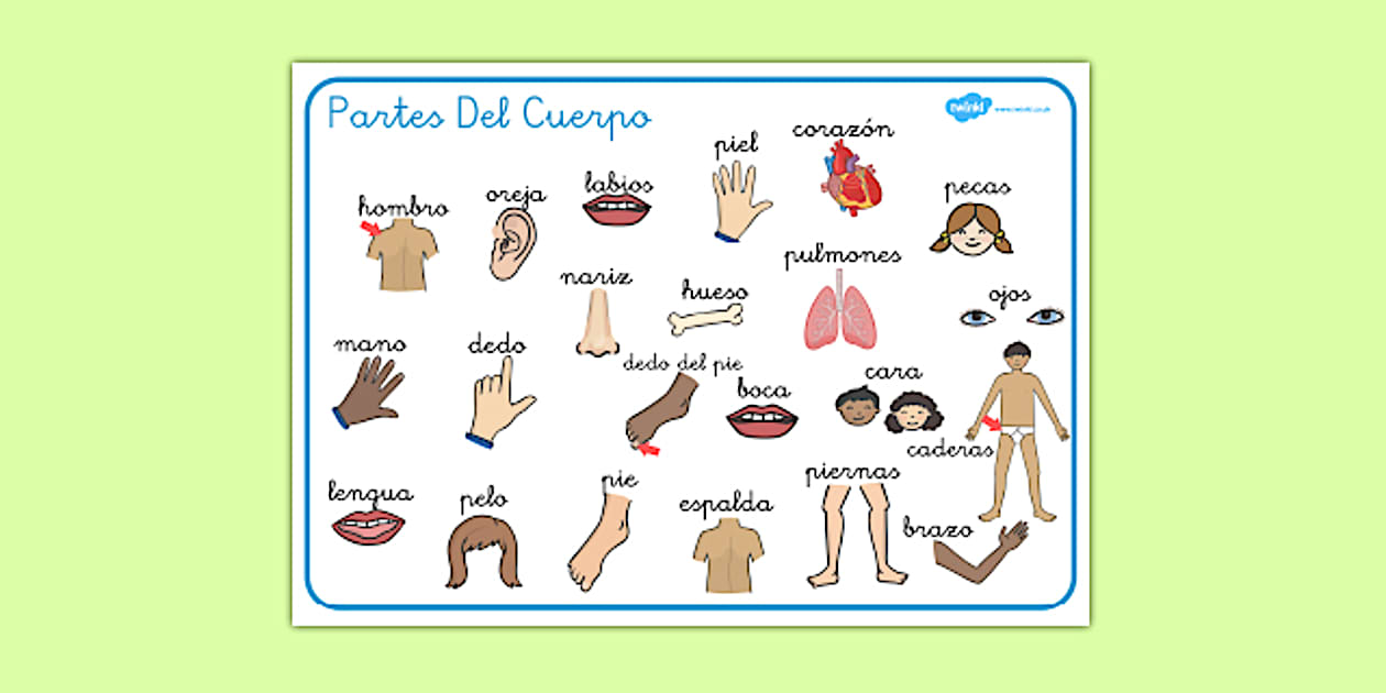 Tapiz de vocabulario - Mi cuerpo