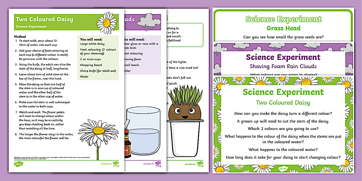 Kindergarten Spring Themed Science Experiments Resource Pack